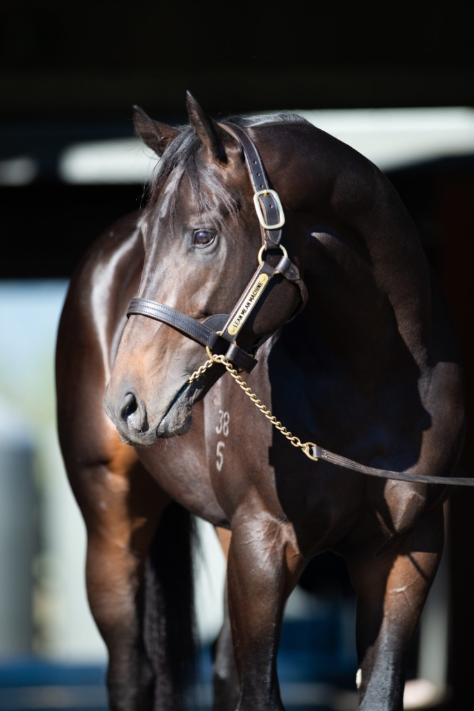 Lean Mean Machine - Aquis Farm