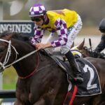 Lean Mean Machine - Aquis Farm