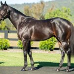 Lean Mean Machine - Aquis Farm