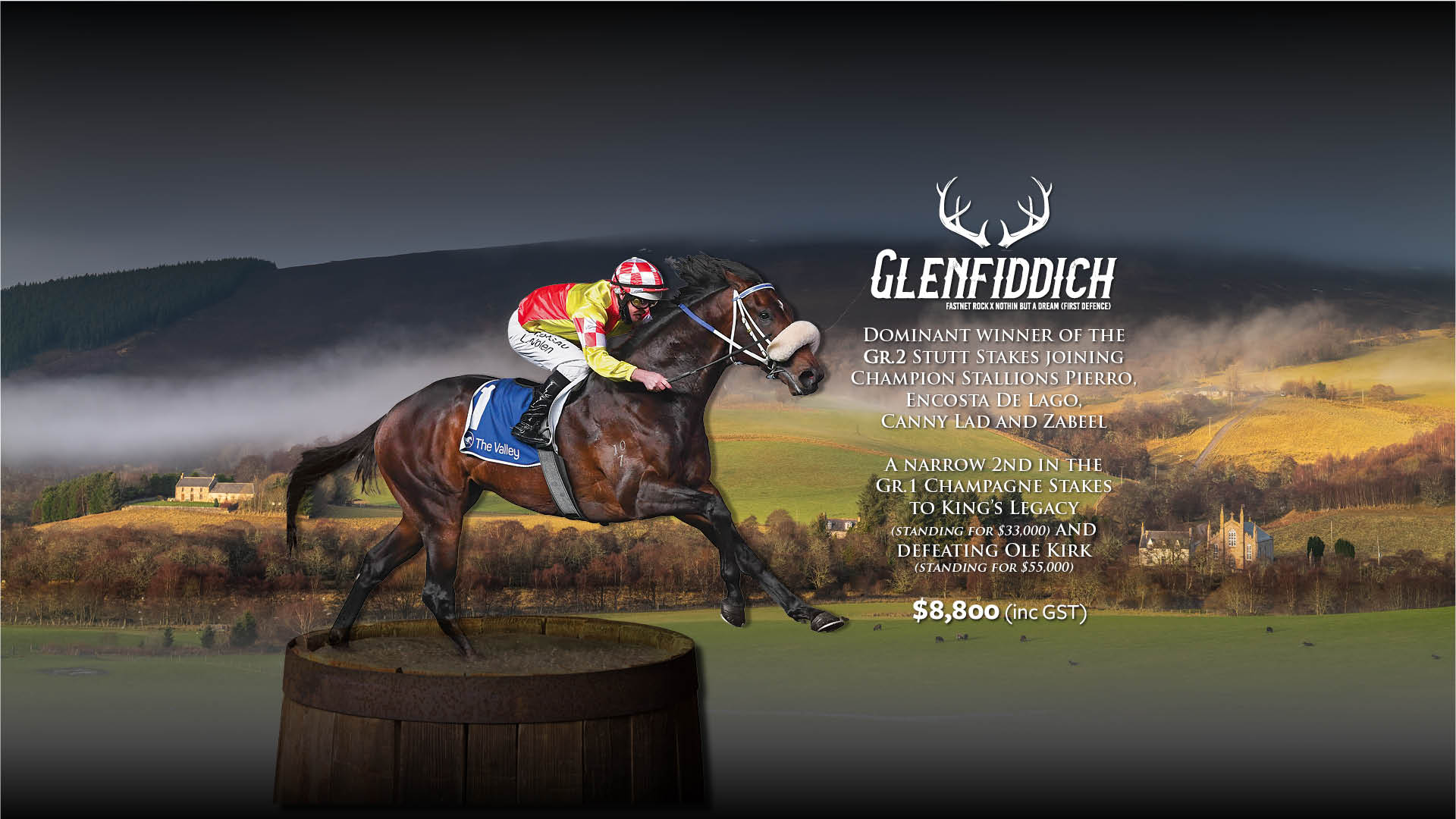 Aquis Farm - Premier Thoroughbreds