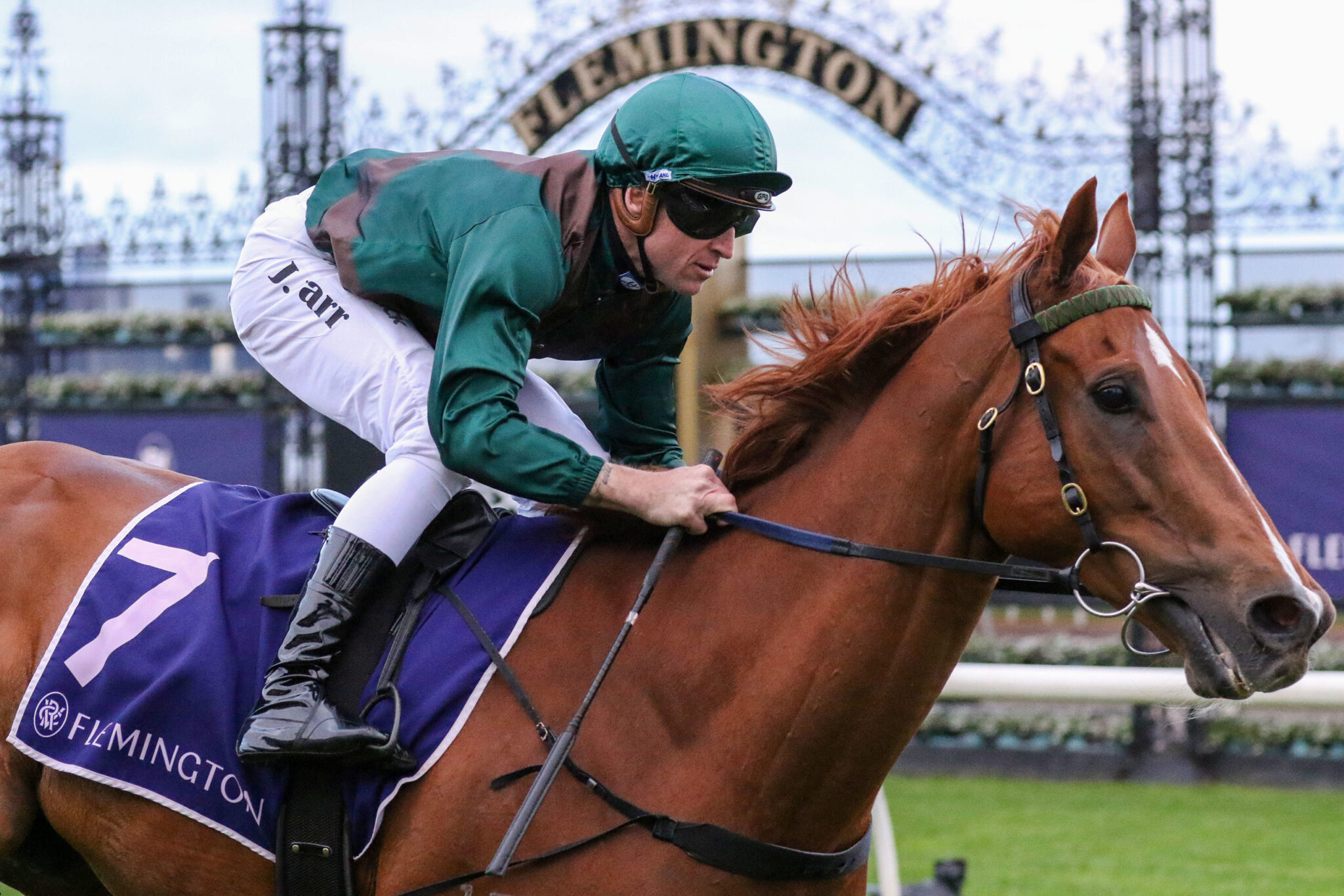 Aquis Farm - Premier Thoroughbreds