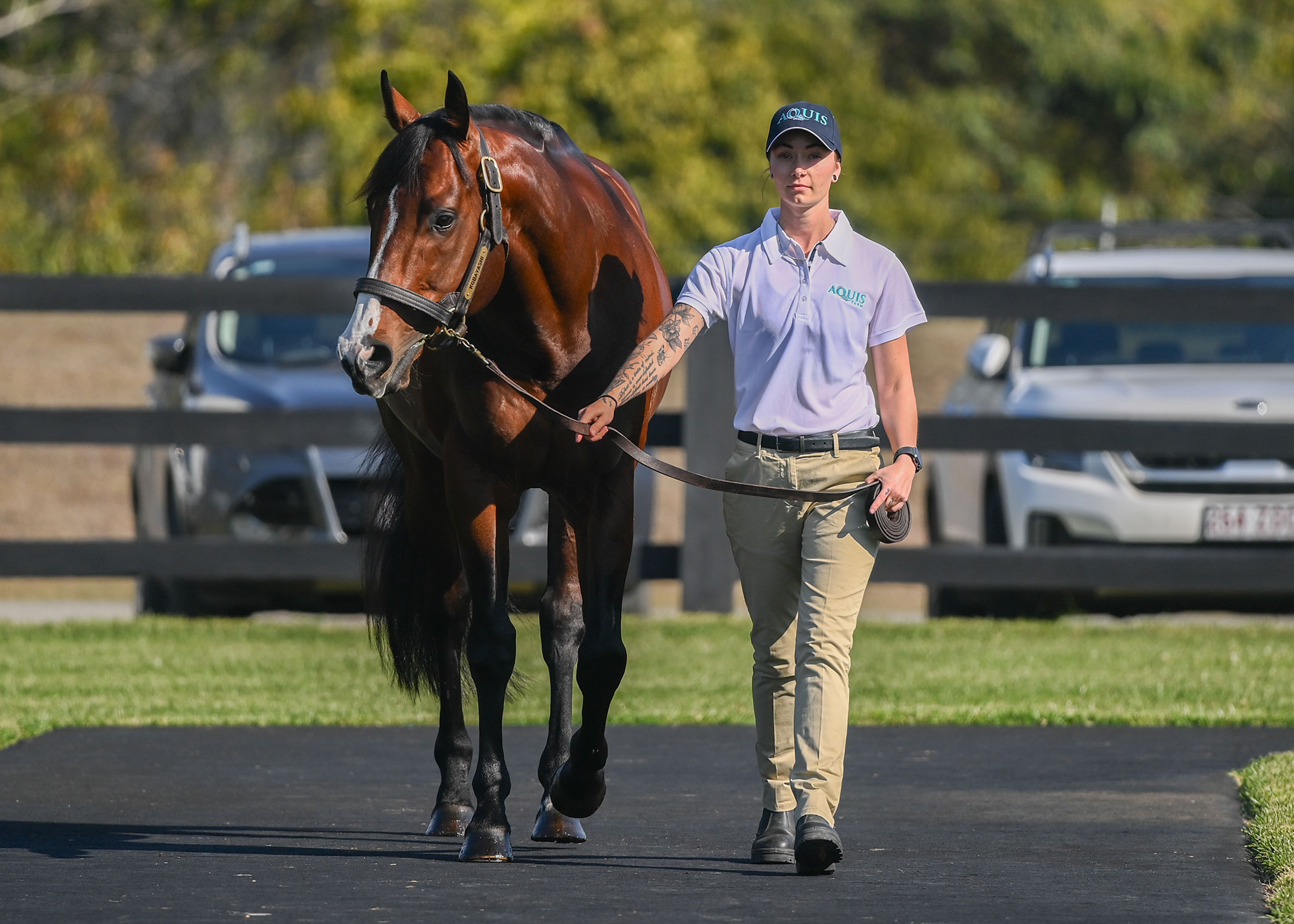 Kobayashi - Aquis Farm
