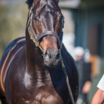 Lean Mean Machine - Aquis Farm