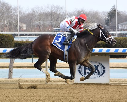 Officiating - Aquis Farm