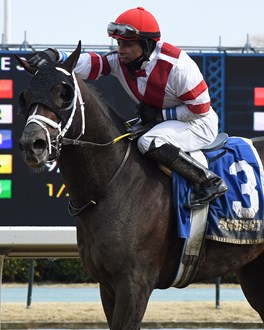 Officiating - Aquis Farm